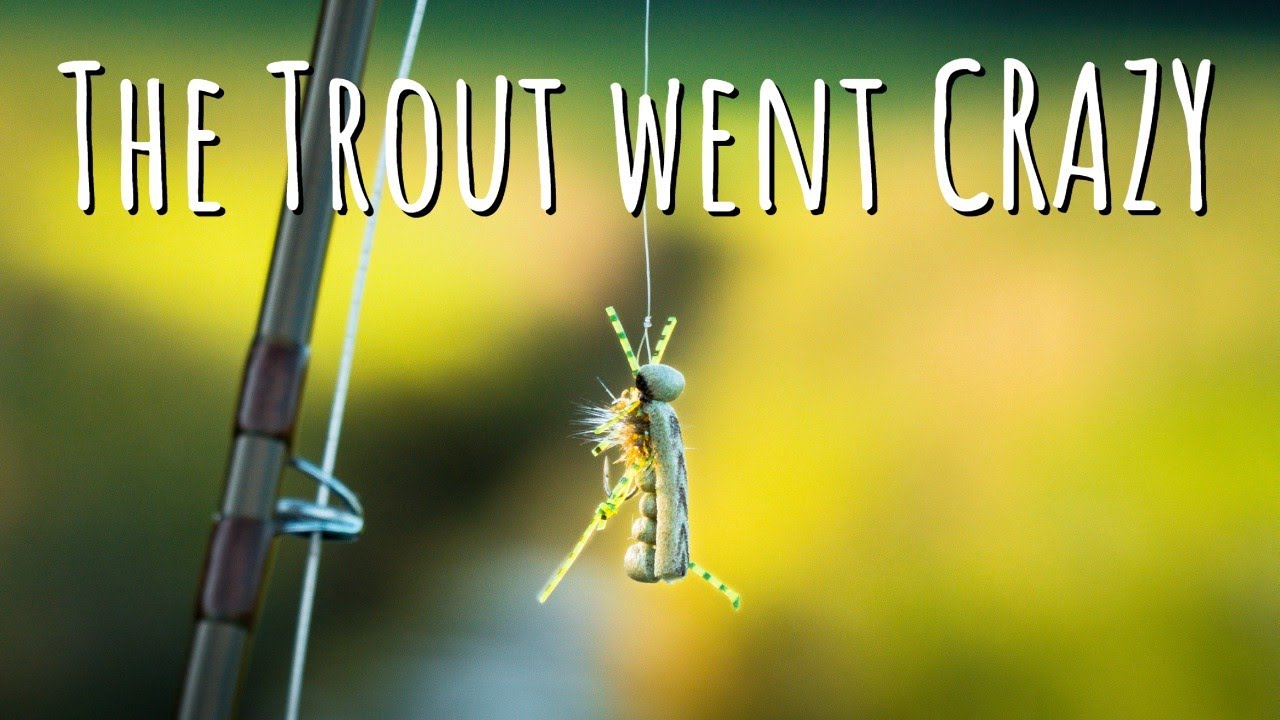 CHASING BROWN TROUT with HOPPERS - Fishing Fly Tackle