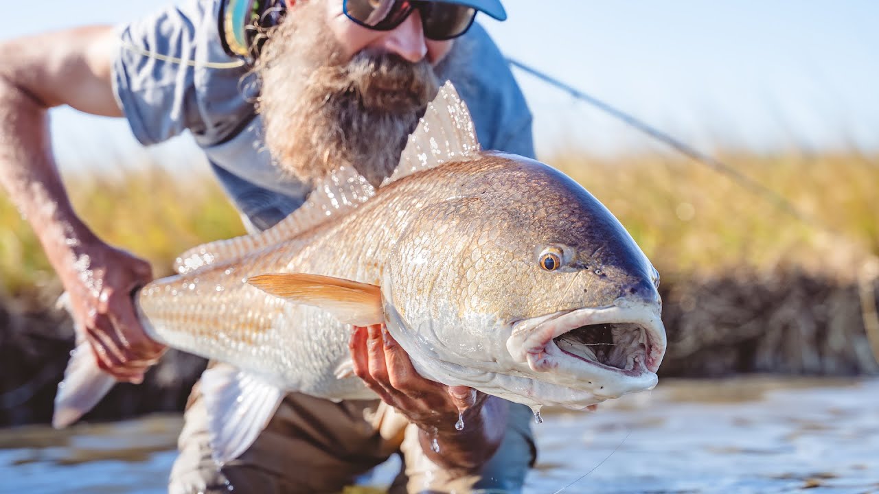 Chasing Bull Redfish on the Fly in the Louisiana Marsh - Fishing Fly Tackle