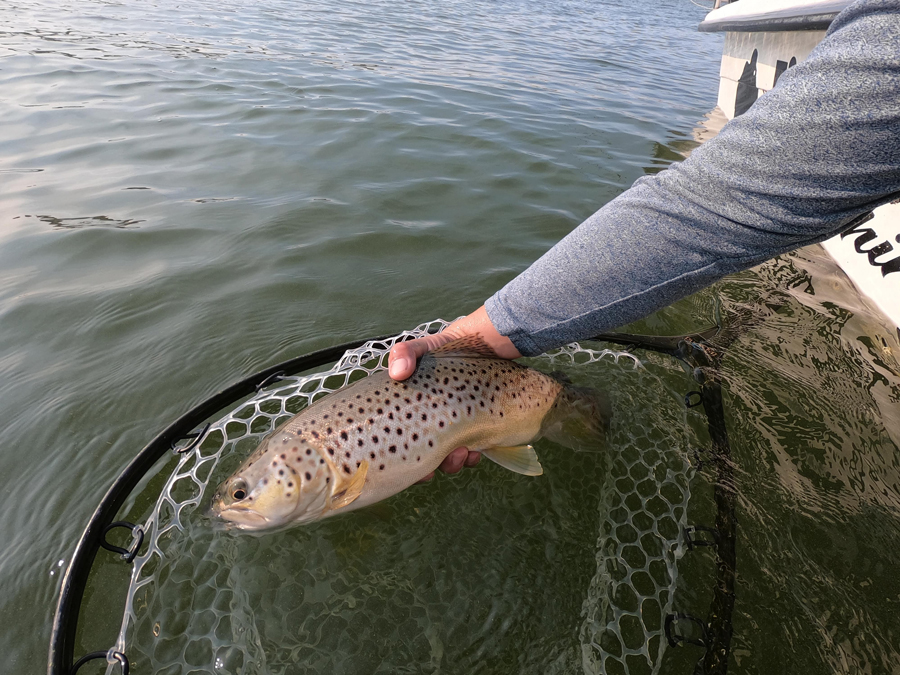 Trout Fishing Big Lakes, Part 2: The Deep Rig - Fishing Fly Tackle