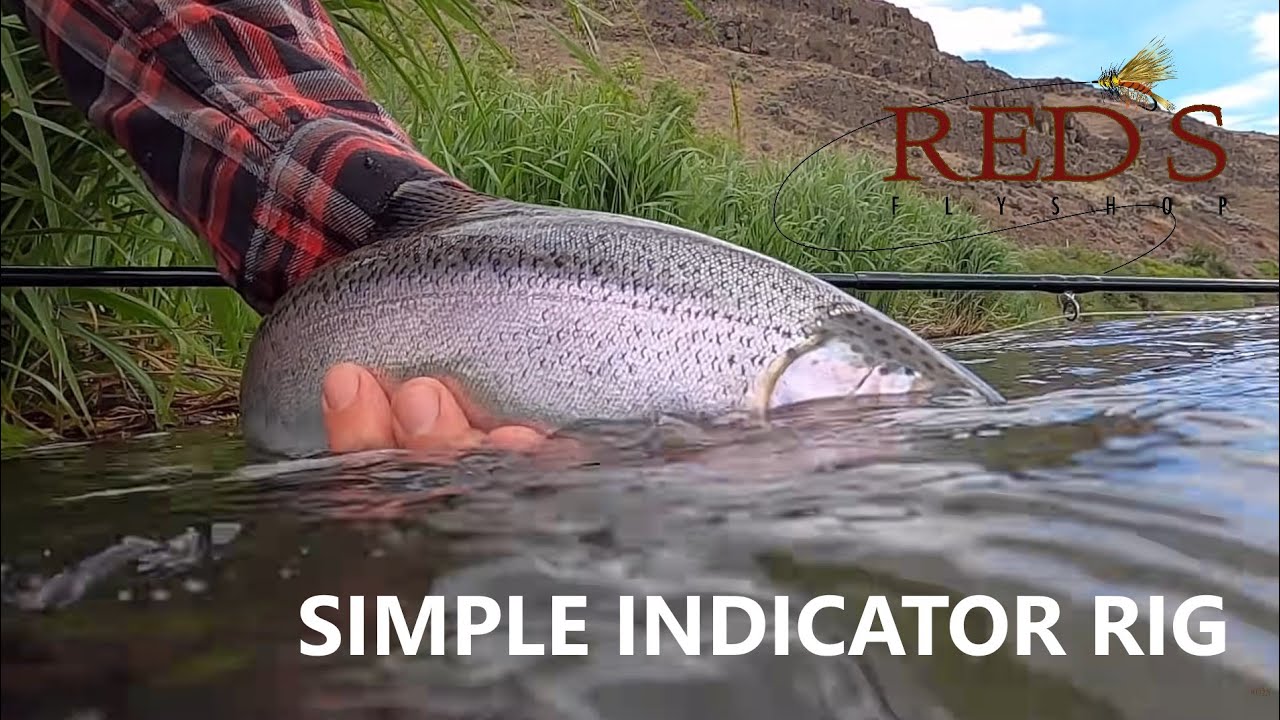 Simple is AWESOME // Beginner Friendly Single Nymph Rig - Fishing Fly ...